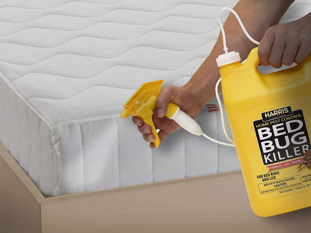 Best Bed Bug Spray Reviews